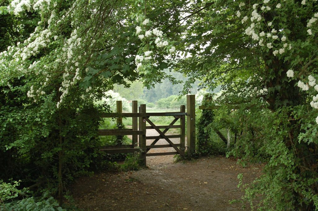 Agricultural Gates